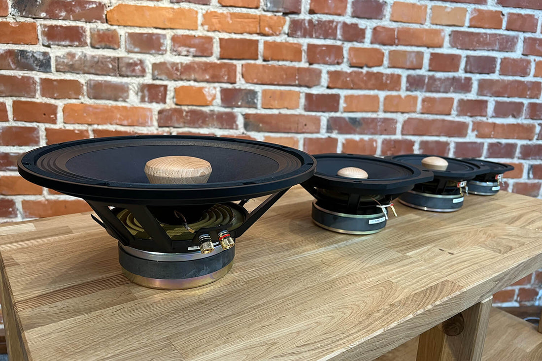Full-Range Speakers: A Game-Changer for Audiophiles! – Stereopolis