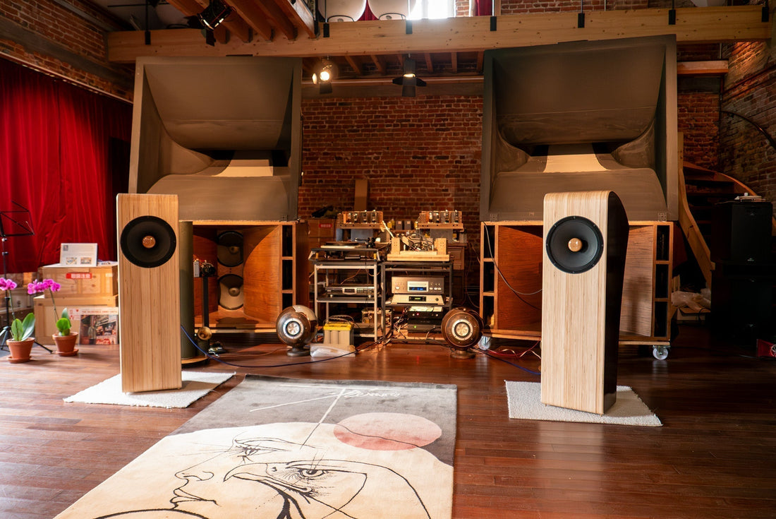 Full-Range Speakers: A Game-Changer for Audiophiles! – Stereopolis